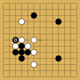 sfas vs. primrose12313